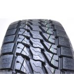 Lion Sport tires review: “Inexpensive tires” doesn't mean “Cheap tires”