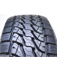 Lion Sport tires review: “Inexpensive tires” doesn't mean “Cheap tires”